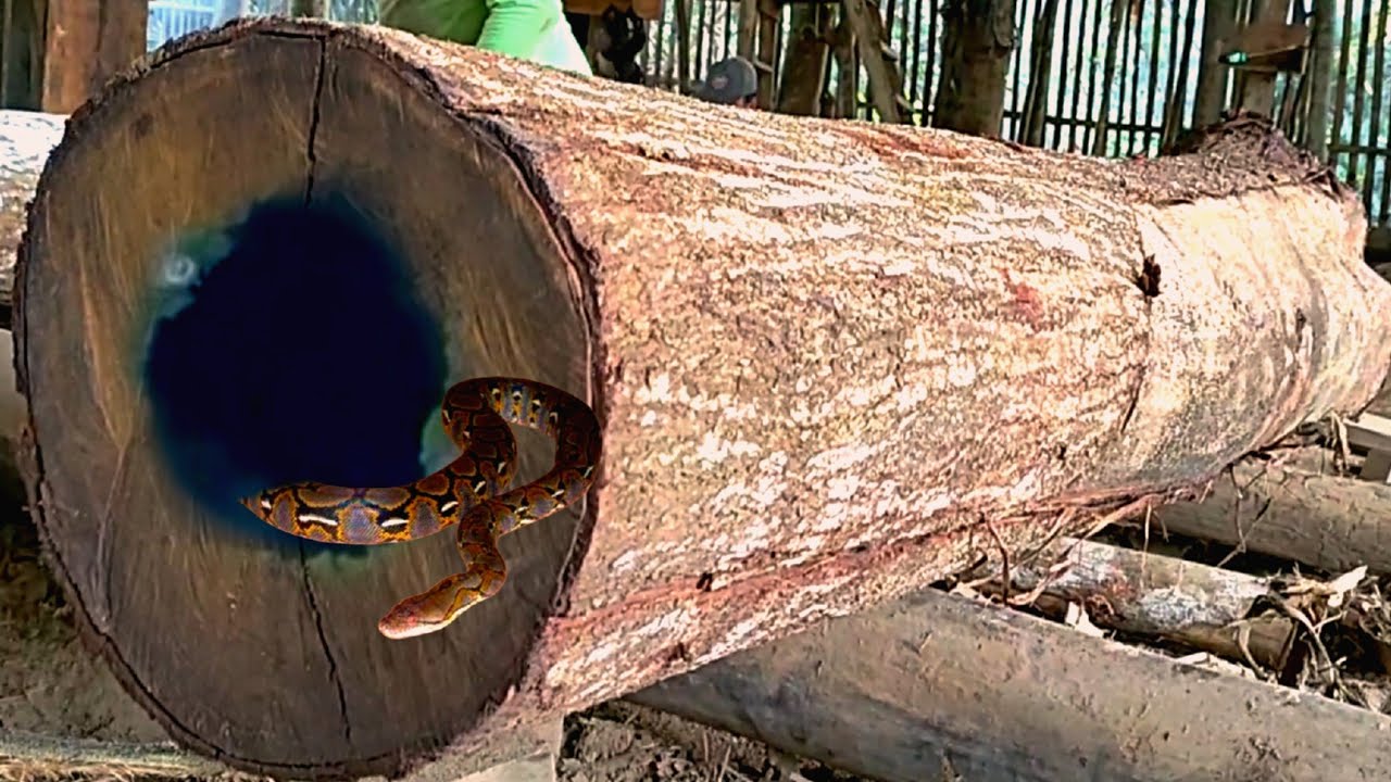 wood cutting process for making construction blocks and sheets - YouTube