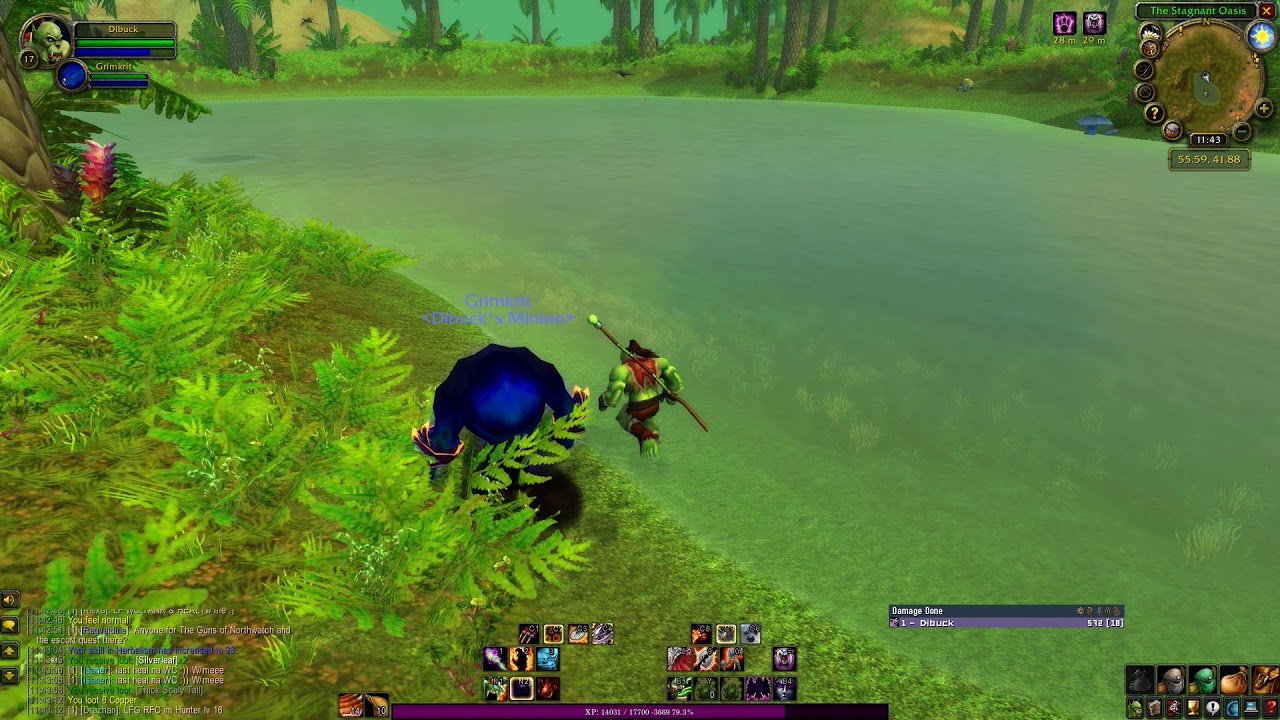 World of Warcraft Classic The Stagnant Oasis - YouTube