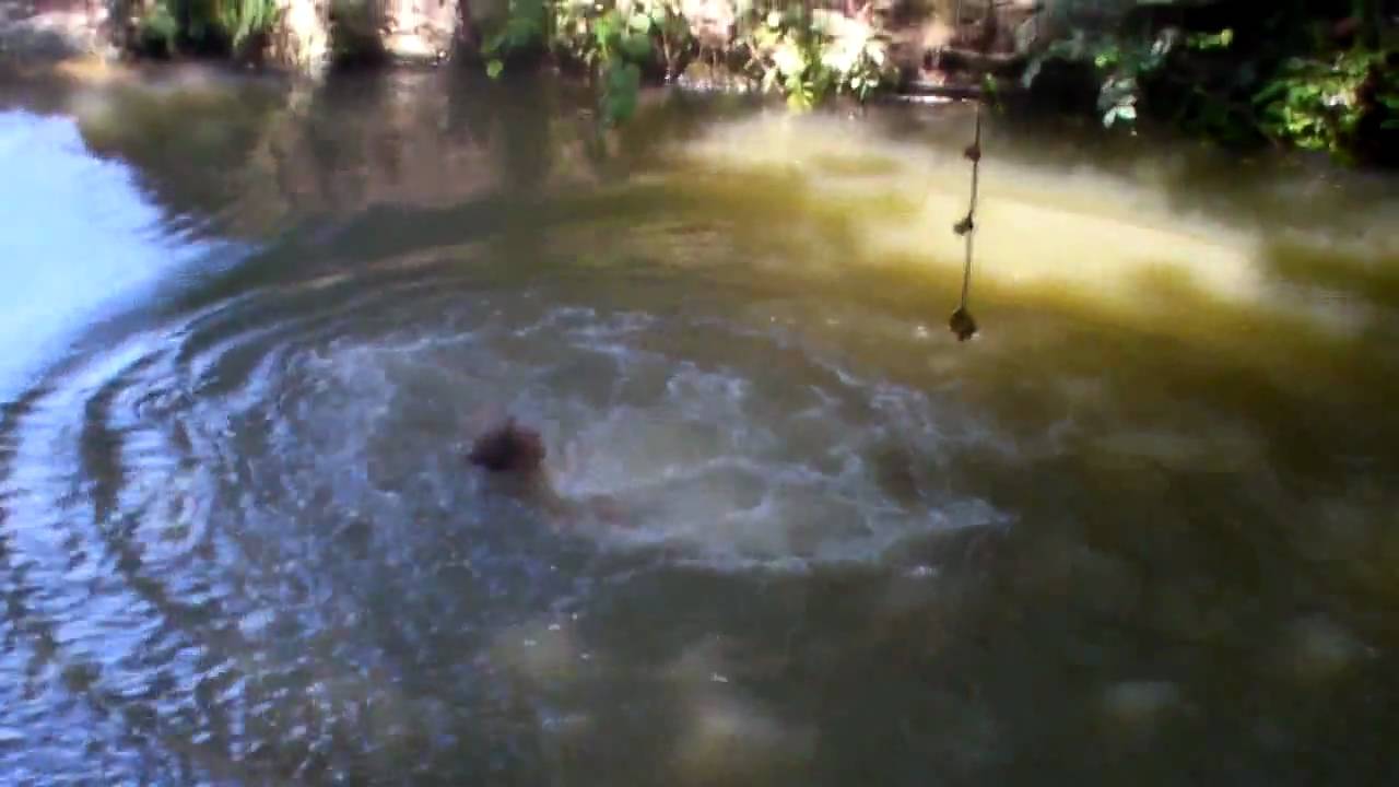 cory at the blue hole - YouTube