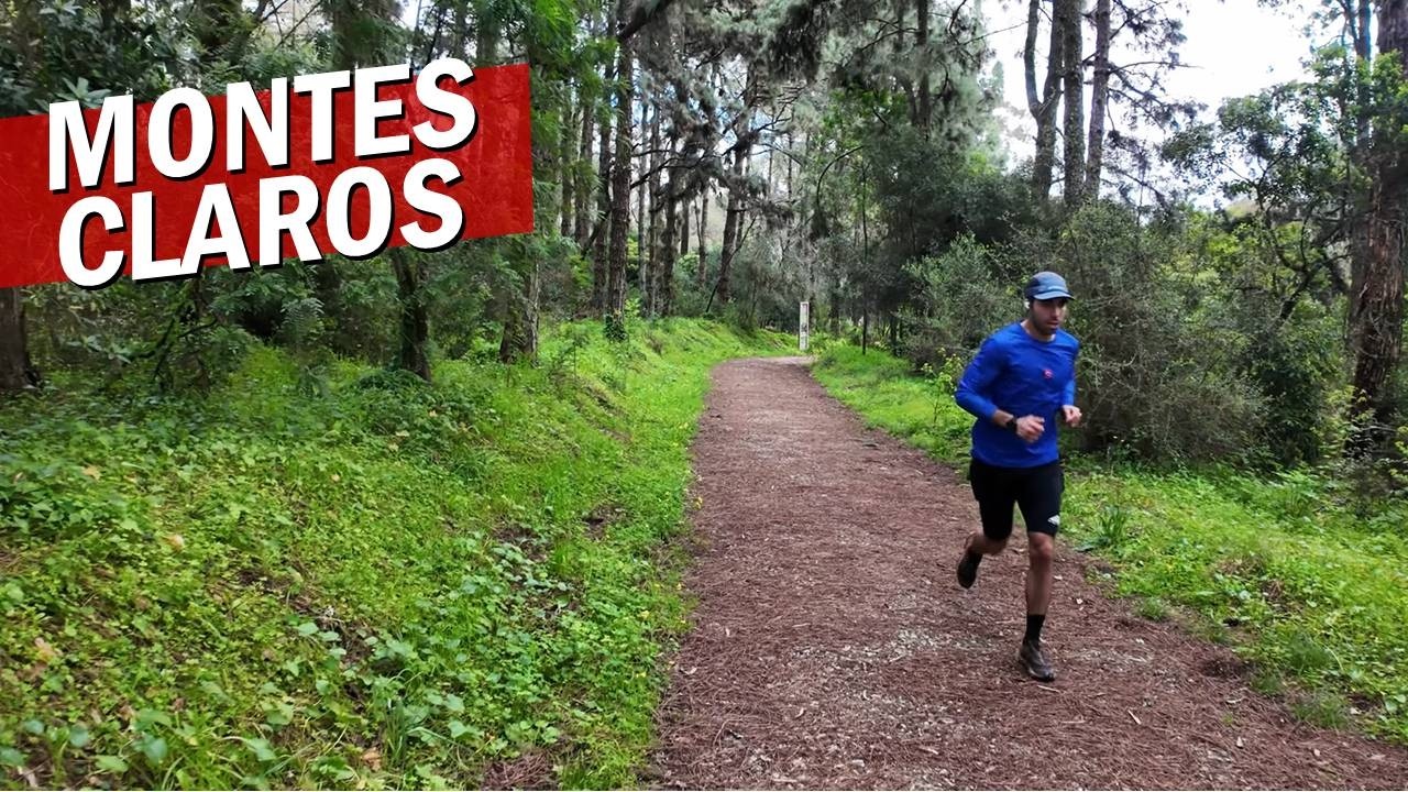 Let's Hike! Montes Claros. Monsanto Trail 7 - YouTube