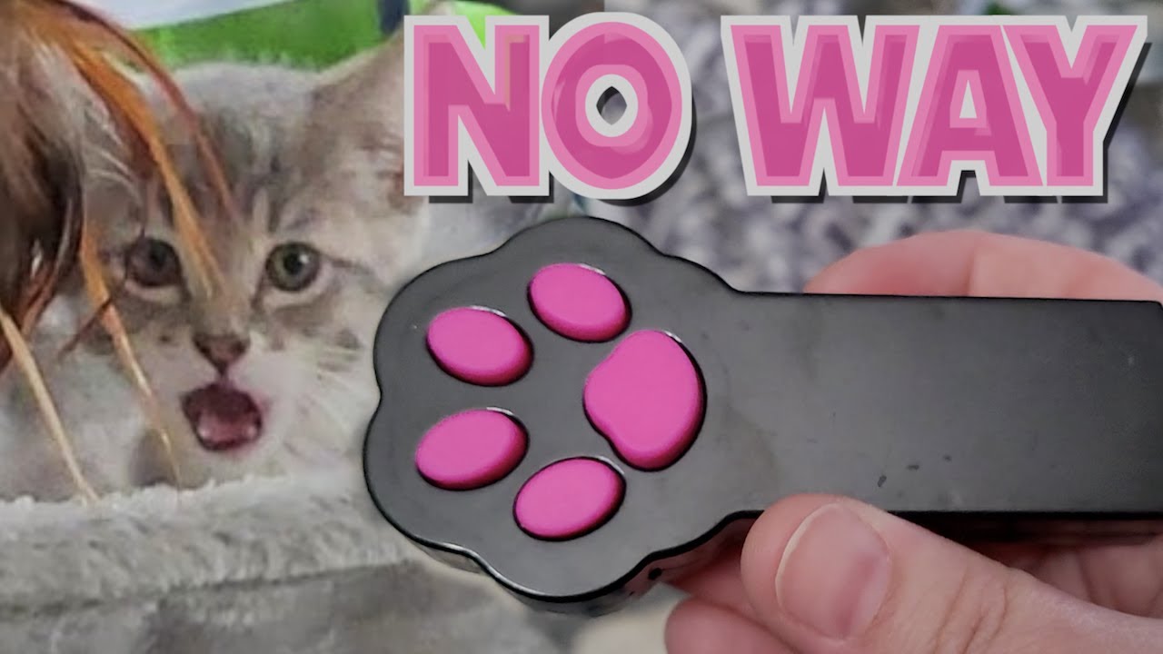 PAW LASER LIGHT CAT TOY - YouTube