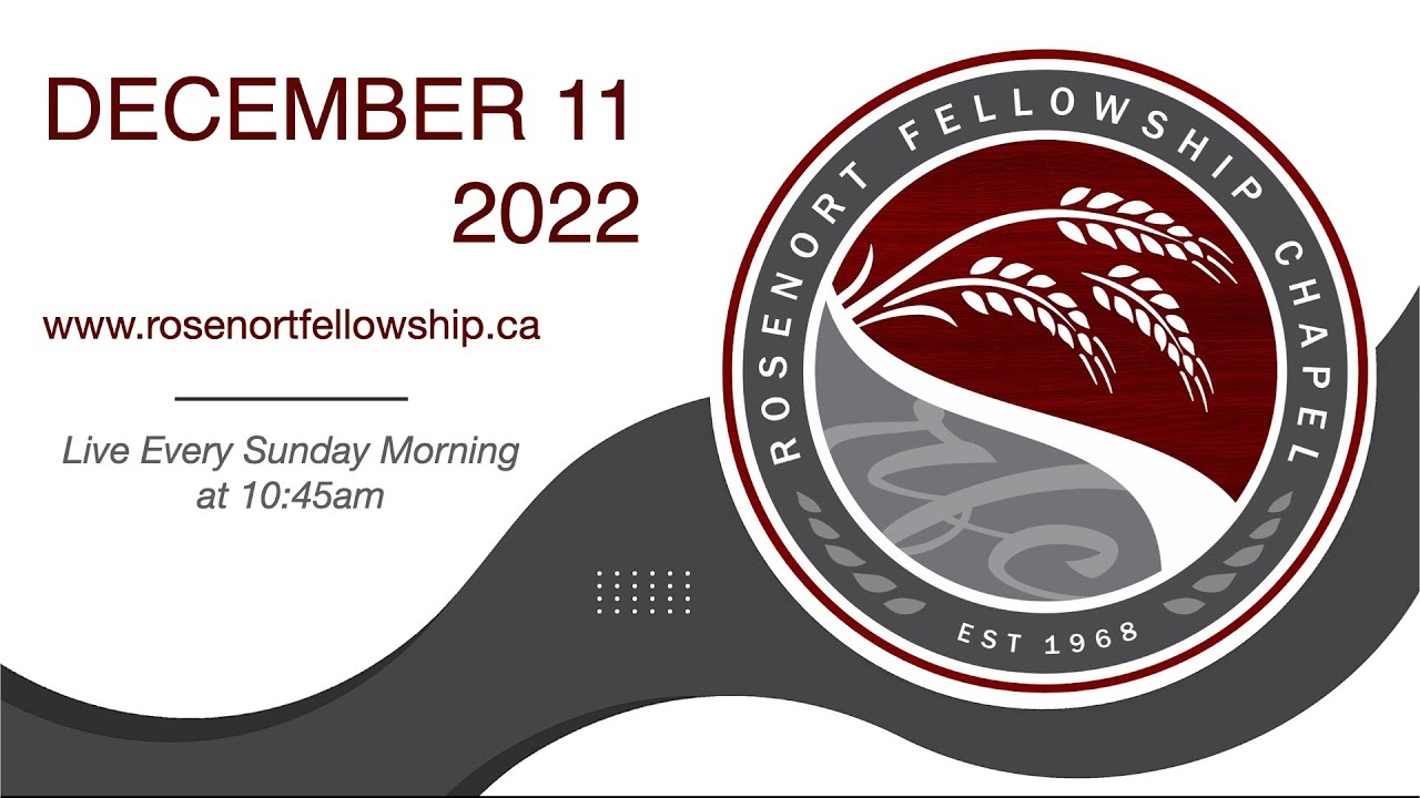 December 11th 2022 YouTube december-11th-2022-youtube
