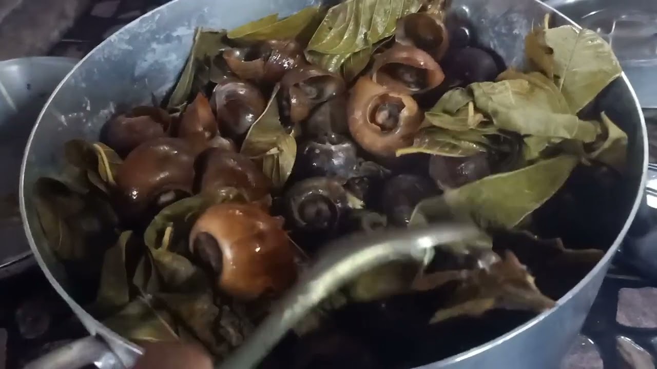 How to cook snail amazing food !!! - YouTube
