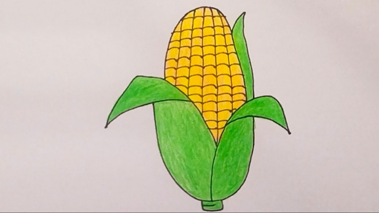 How to draw corn step by step 🌽🌽(very easy) - YouTube