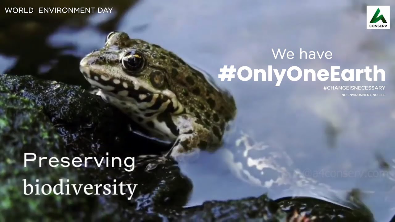 We have Only One Earth🌍 | Act Now for a Sustainable Tomorrow ...