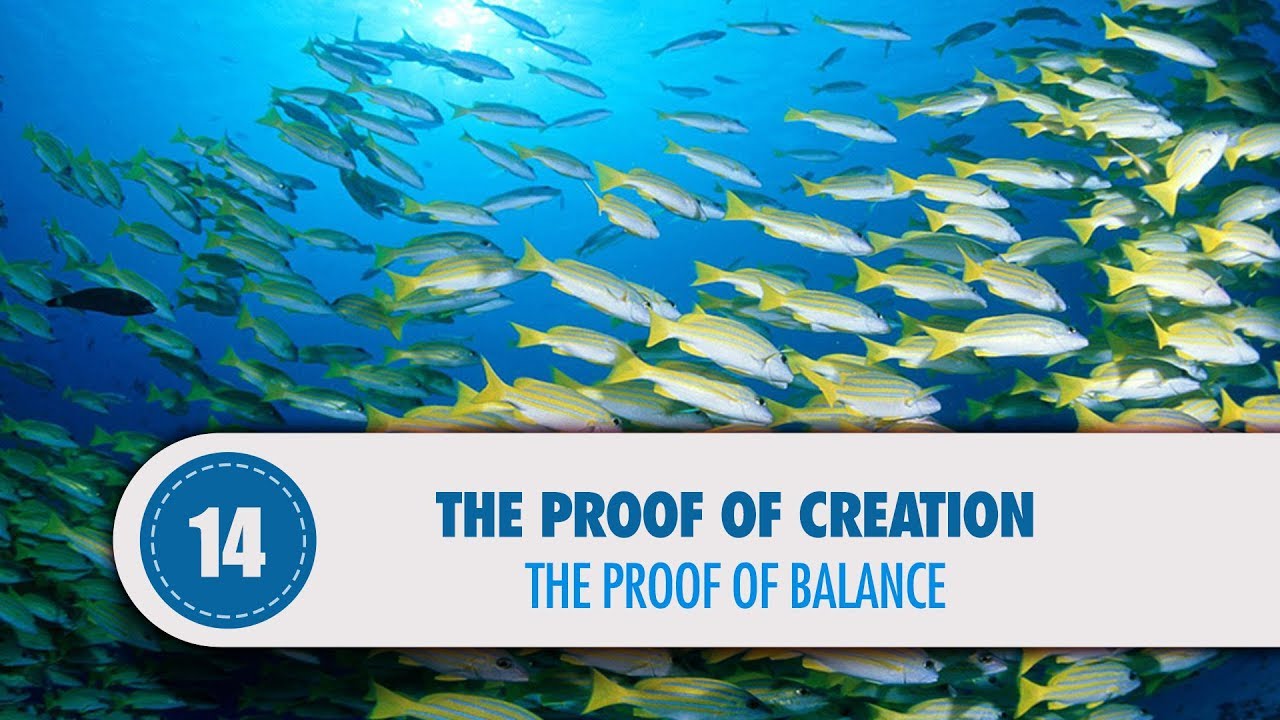 THE PROOF OF CREATION # 14 THE PROOF OF BALANCE - YouTube