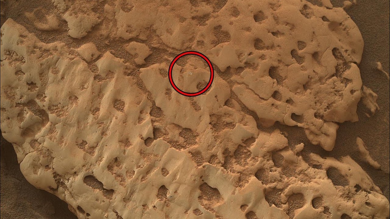 mars preservation rover || mars perseverance rover latest images Sol ...