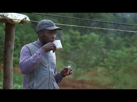 Into the Amazon: Gold, Survival, and the River Roads of Suriname - Deadliest Journeys