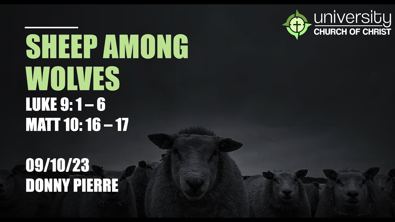 Sheep Among Wolves - 09-10-23 - Donny Pierre - YouTube