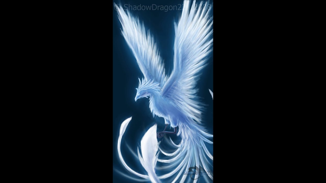 winter phoenix youtube channel trailer - YouTube