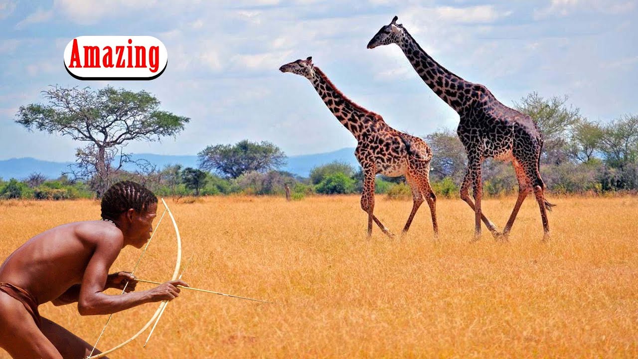 Hadzabe Tribe | Women Cooking Food For Hunters | The Life Of African ...