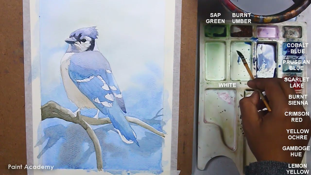 How to Paint Bird in Watercolor | Watercolor Blue Jay Painting | step ...