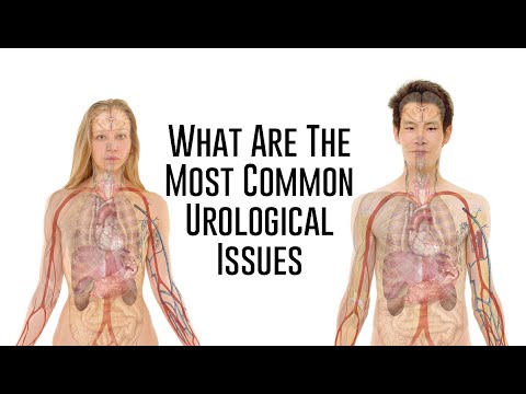 What Are The Most Common Urological Issues - Dr. Michael Grable - YouTube