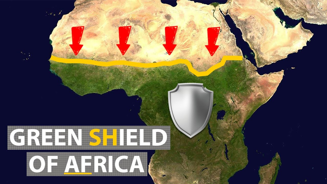 The largest living structure on the planet - YouTube