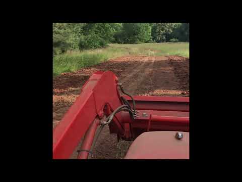 How To Plant Chufa Seeds