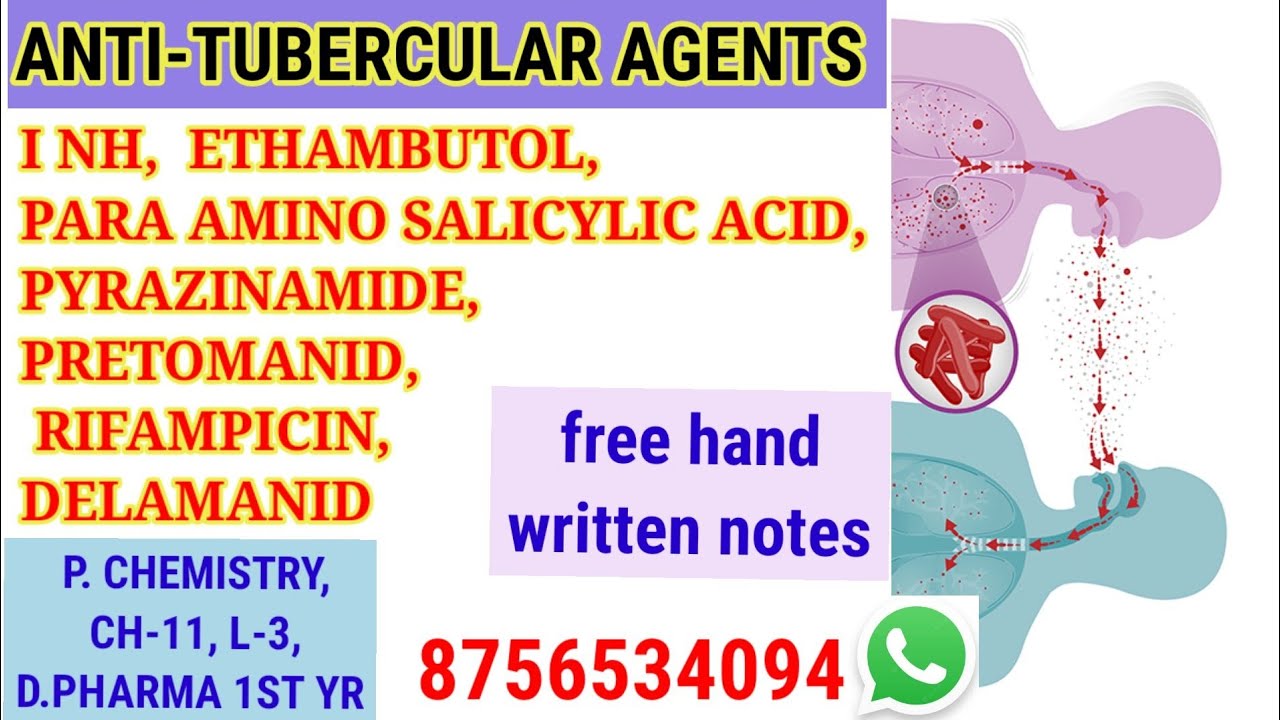 L-3(Anti-tubercular drugs) structure IUPAC name of isoniazid,Ethambutol ...