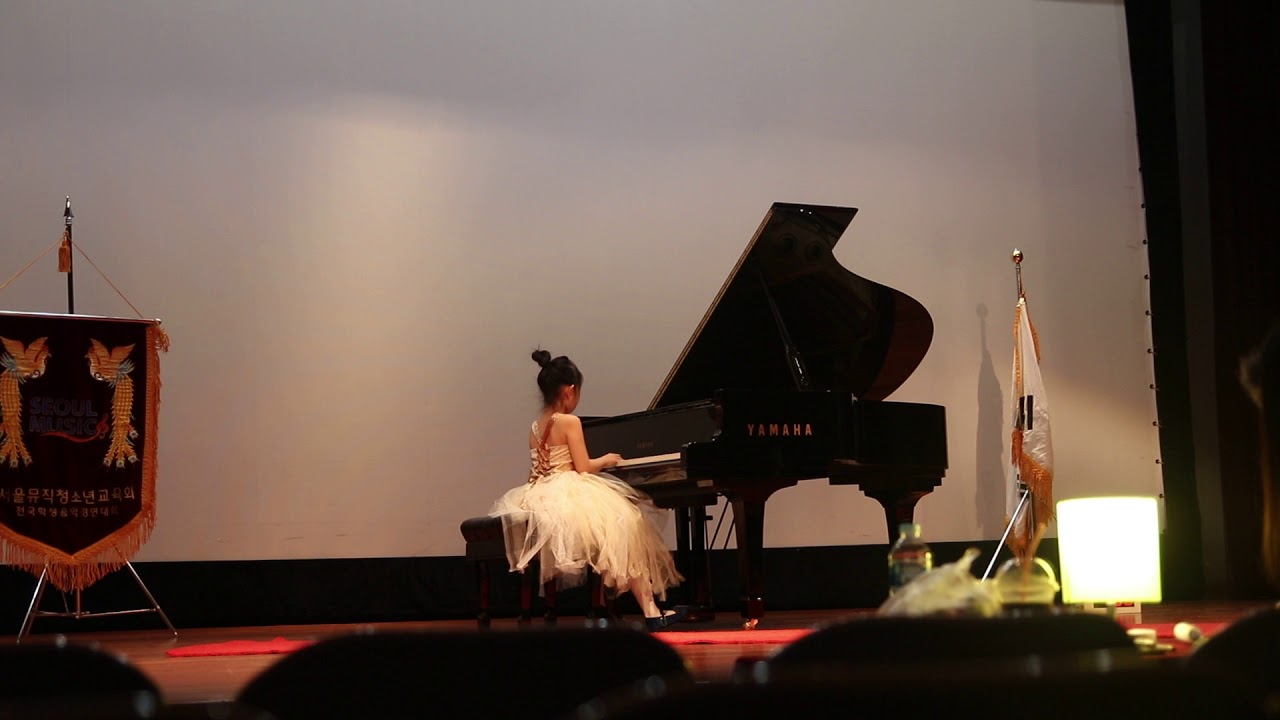 20190223-Tarantella op 77 no 6 - Moszkowski - YouTube