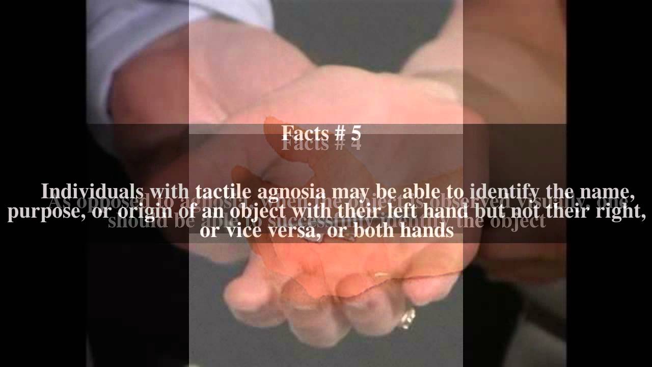 Astereognosis Top # 8 Facts - YouTube