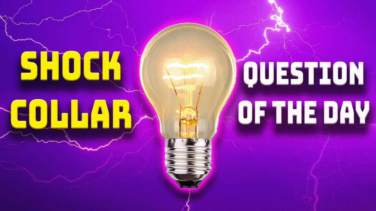 GOER or SLOWER? - Ep. 1104 (Shock Collar Question) | Brooke and Jeffrey ...