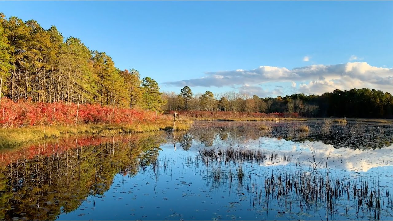 Black Run Preserve: Water, Nature, People - YouTube