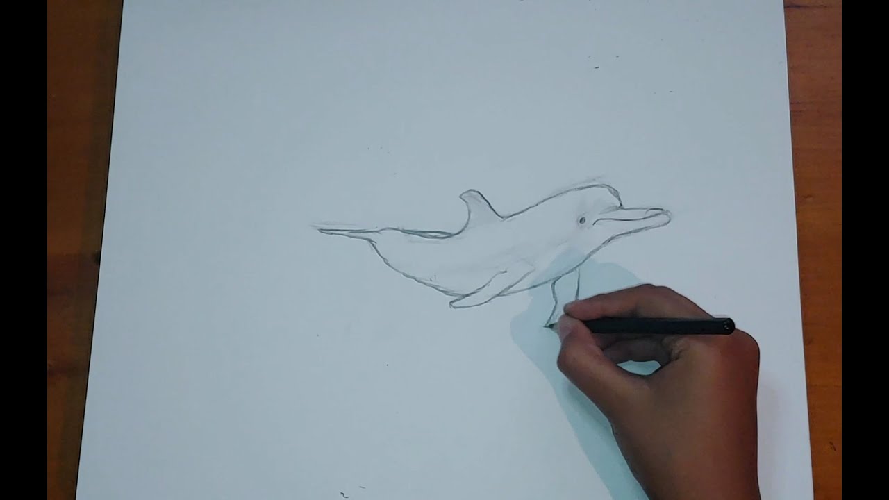 Como dibujar un delfin--How to draw a dolphin - YouTube