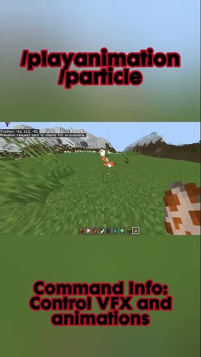 How to use the /playanimation and /particle command in Minecraft Bedrock #bedrock #commands ...