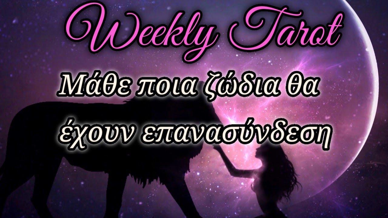 🎇Ταρώ-Προβλεψεις Ζωδίων 14-20/8 Νέα Σελήνη στον Λέοντα 🌒 #tarot # ...