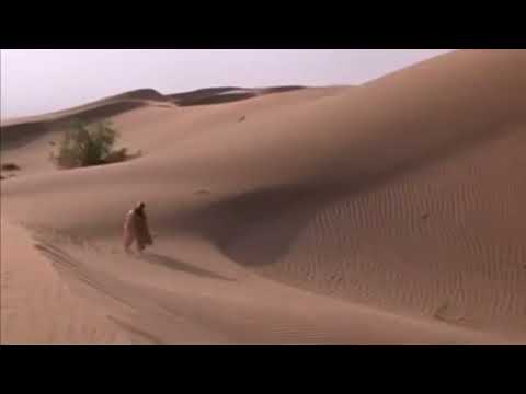 AŞK NEDİR ? #SHORTS