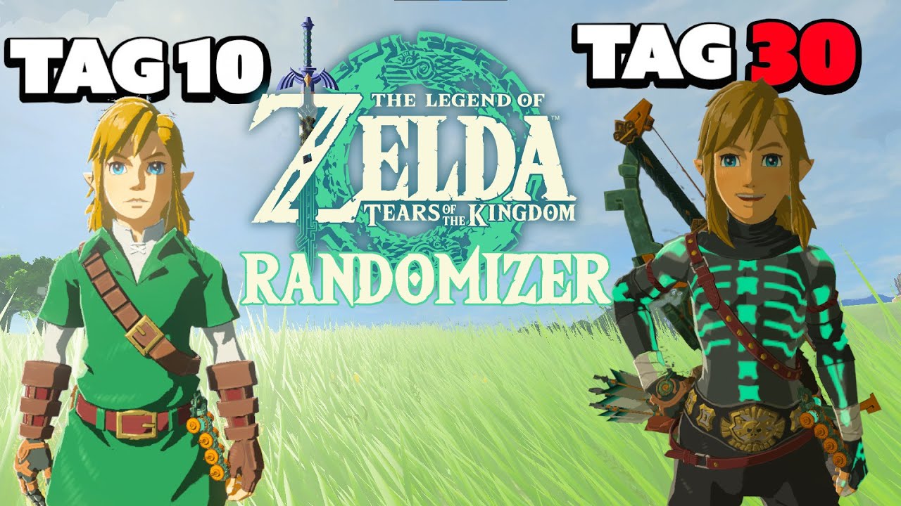 EIN KROG GIBT MIR DAS PARASEGEL?!? Zelda: TotK Randomizer - YouTube