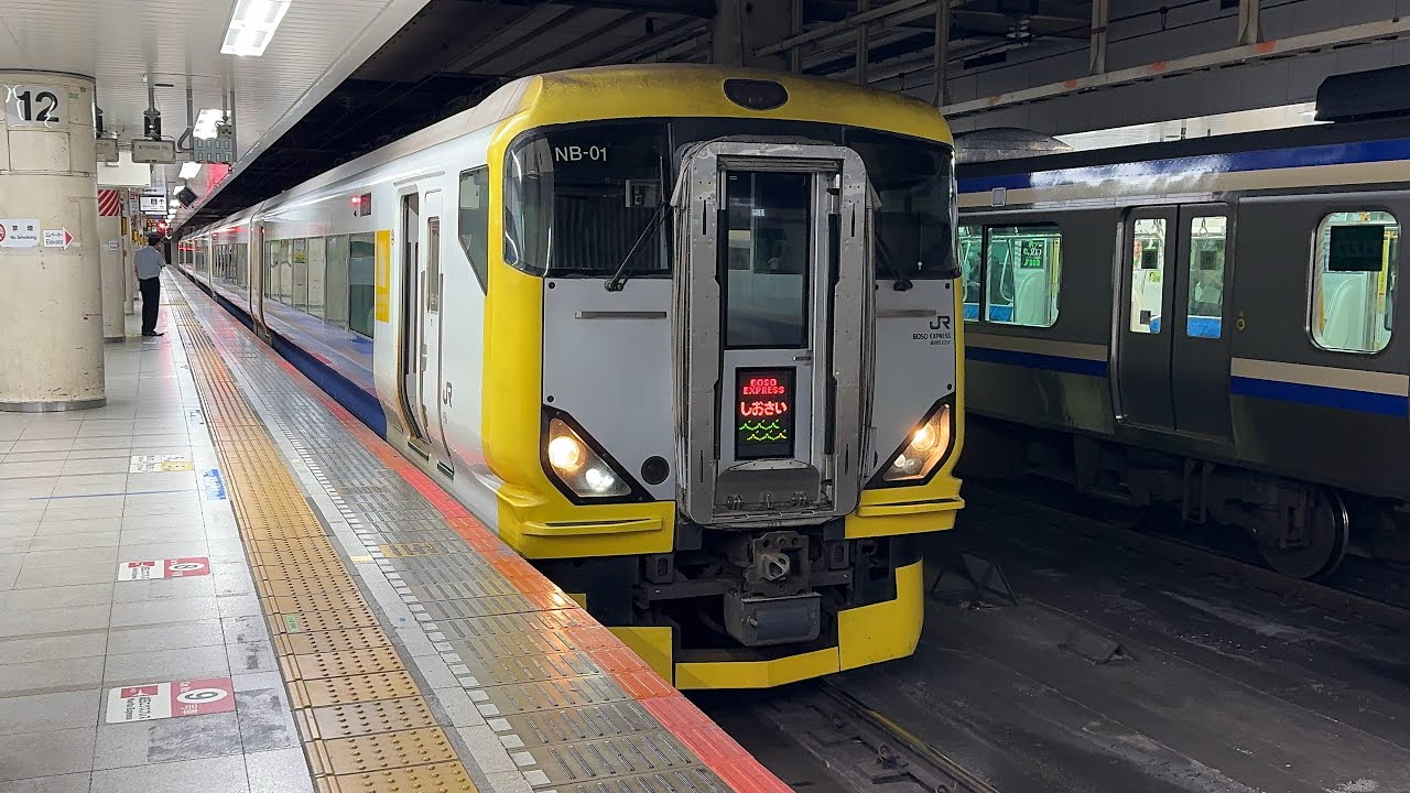 【下り特急しおさい号で唯一E257系で佐倉行き！】E257系500番台NB–01編成 特急しおさい11号佐倉行き東京駅発車 - YouTube