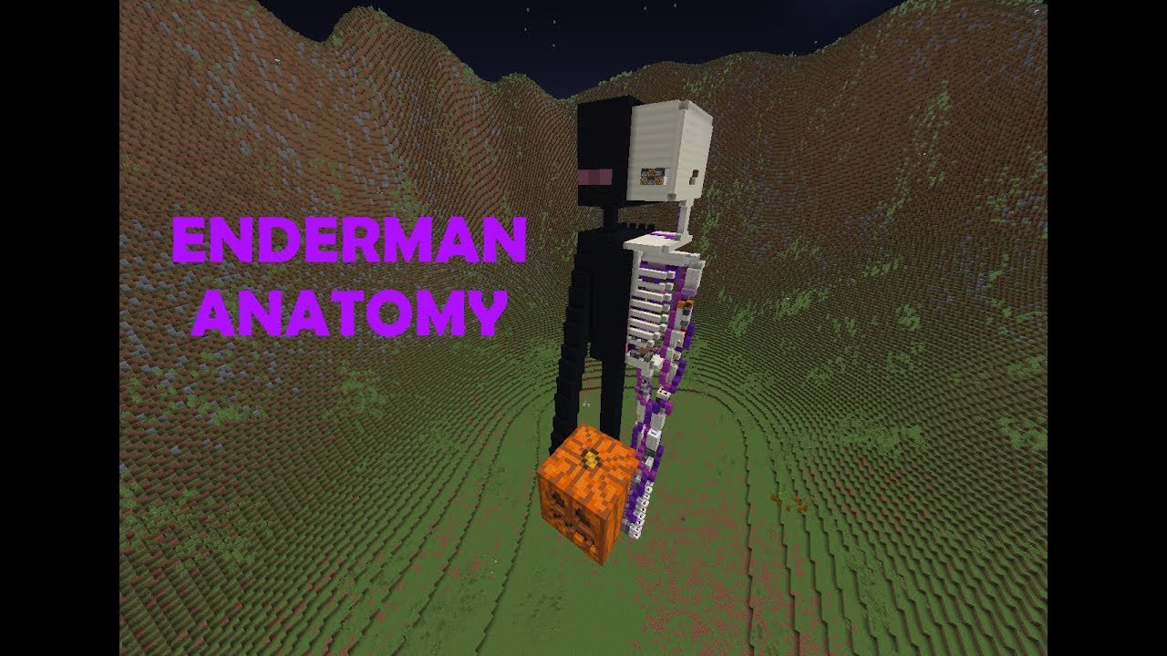Minecraft Enderman Anatomy