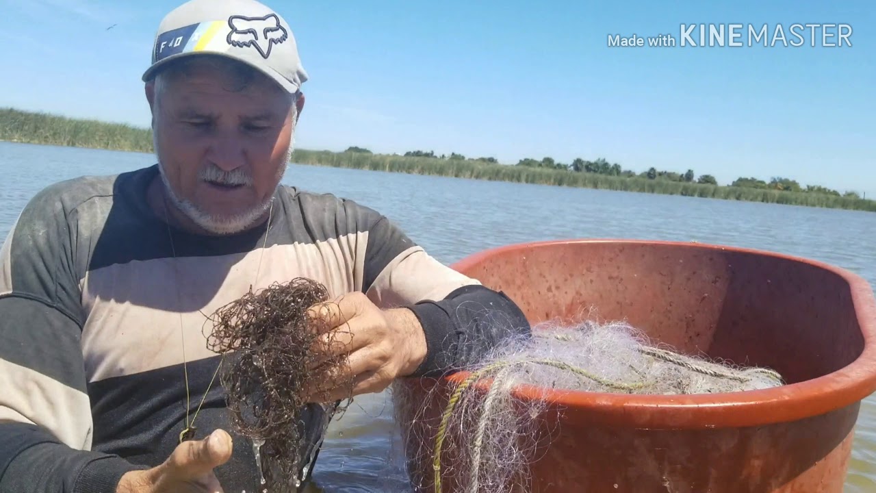 Pesca con chinchorro en Sinaloa 🐟🚣‍♂️ - YouTube