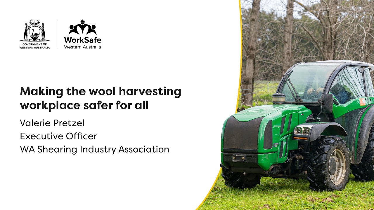Farm safety: Making the wool harvesting workplace safer for all - YouTube