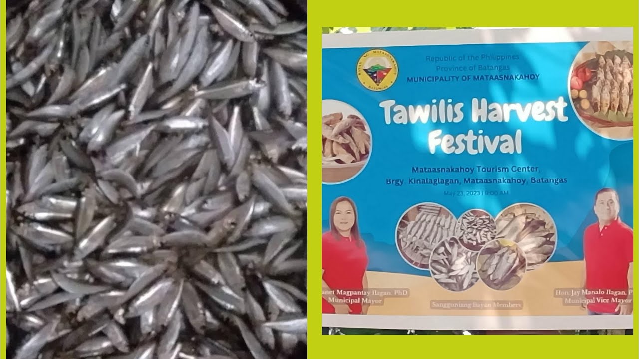 Agriculture &Fisheries at Tawilis Festival Kinalaglagan Mataasnakahoy ...