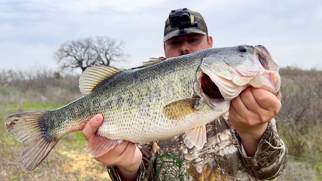 ABSOLUTE MONSTER BASS! (Biggest of 2024) - YouTube