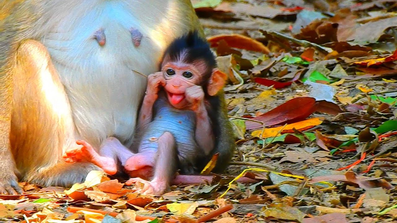 Blissful Life..! - YouTube