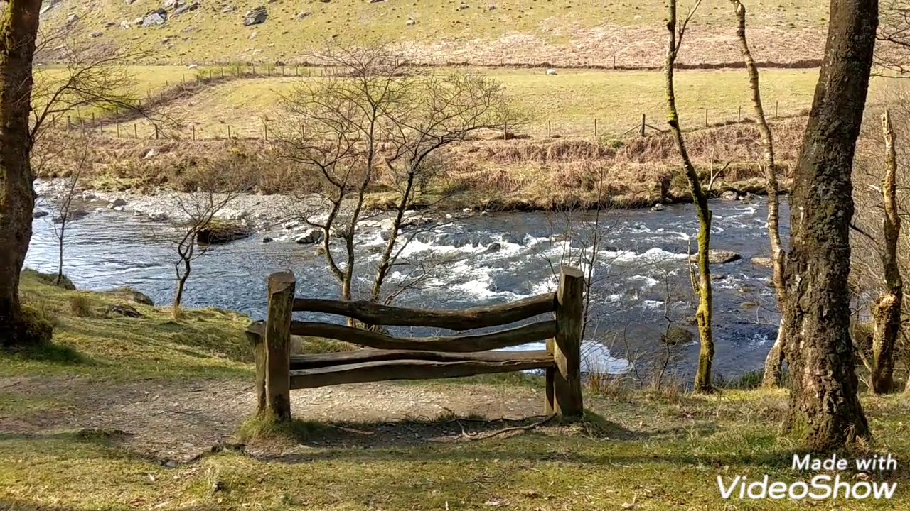 Twm Sion Cati Cave and RSPB Gwenffrwd Dinas Ystradffin 13.04.19 - YouTube