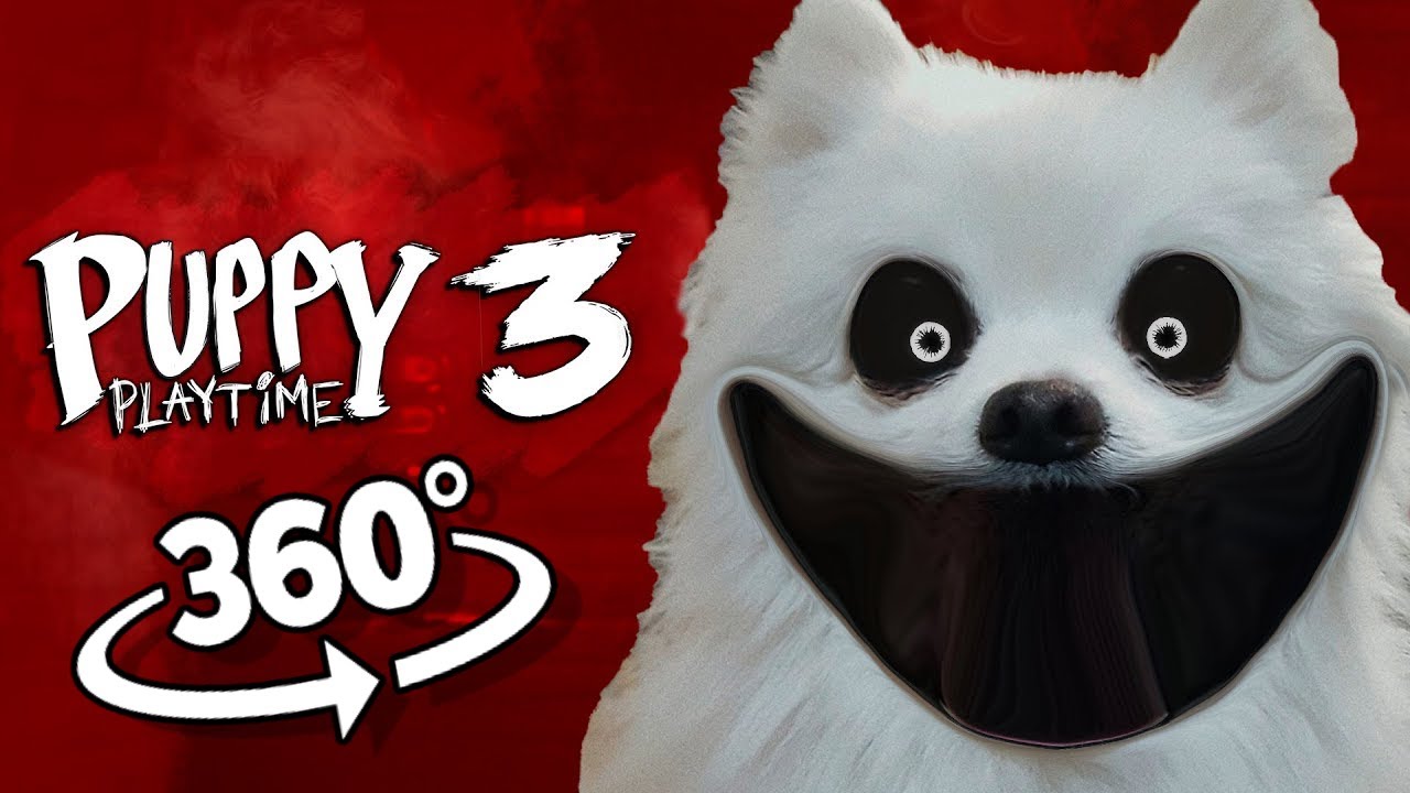 360º VR Puppy Playtime 3 - YouTube