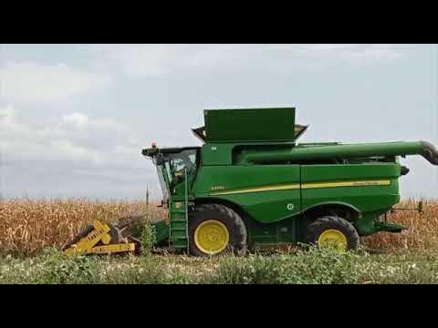 Trebbiatura mais 🌽 2022. John Deere s670i con barra Dantini 8 file. - YouTube