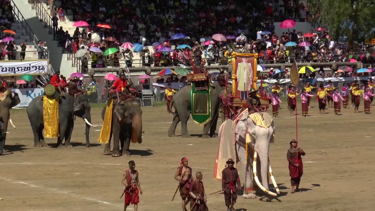 Surin Sacred White Elephant leads ceremony in Thailand - YouTube
