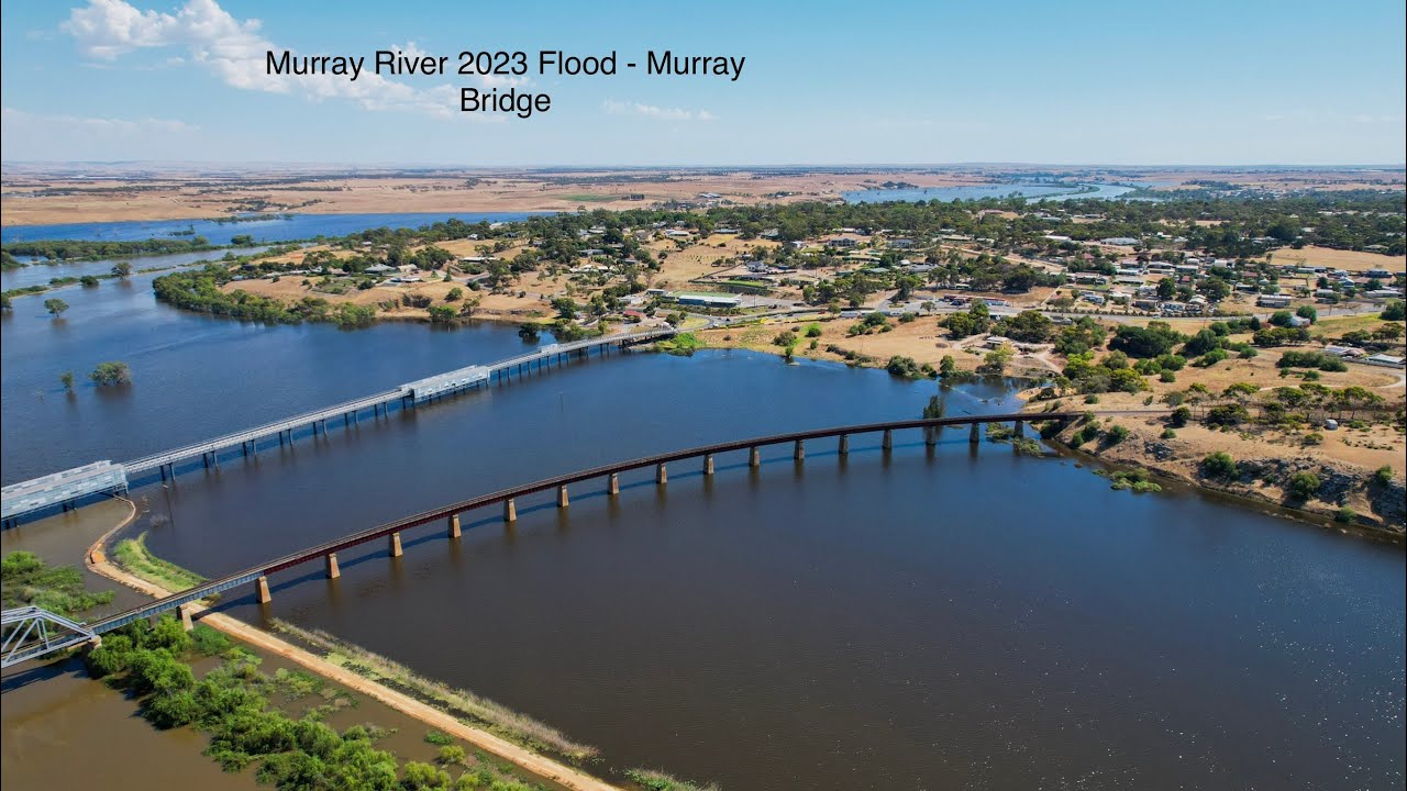 Murray River Floods, 2023 MURRAY BRIDGE 14/01/2023 - YouTube