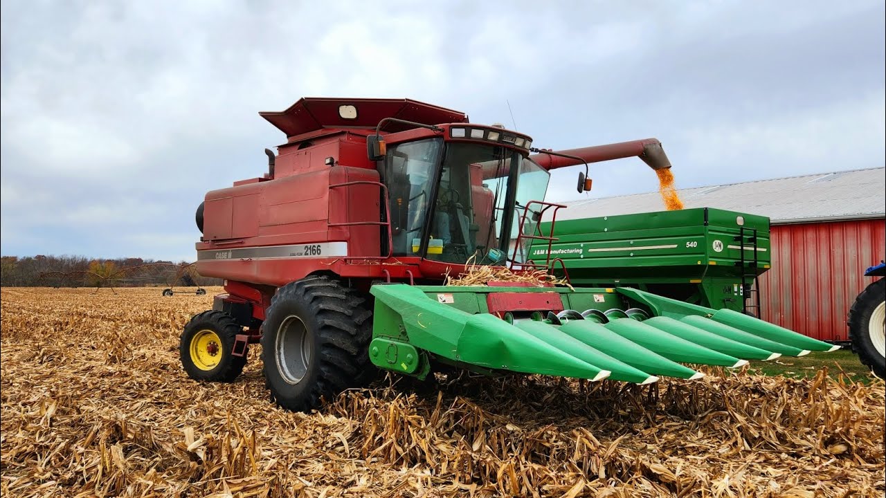 case 2166 axial-flow corn harvest 2022 - YouTube