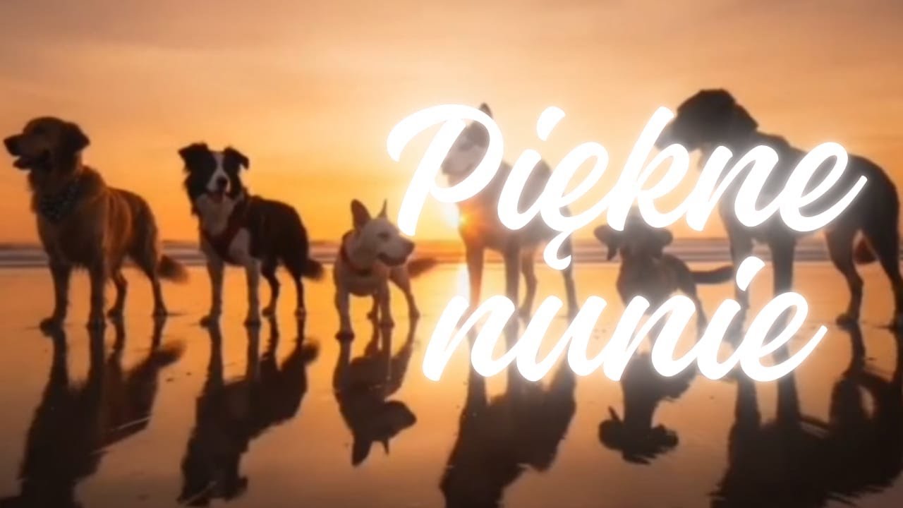Piękne niunie - JSMUSIC - YouTube