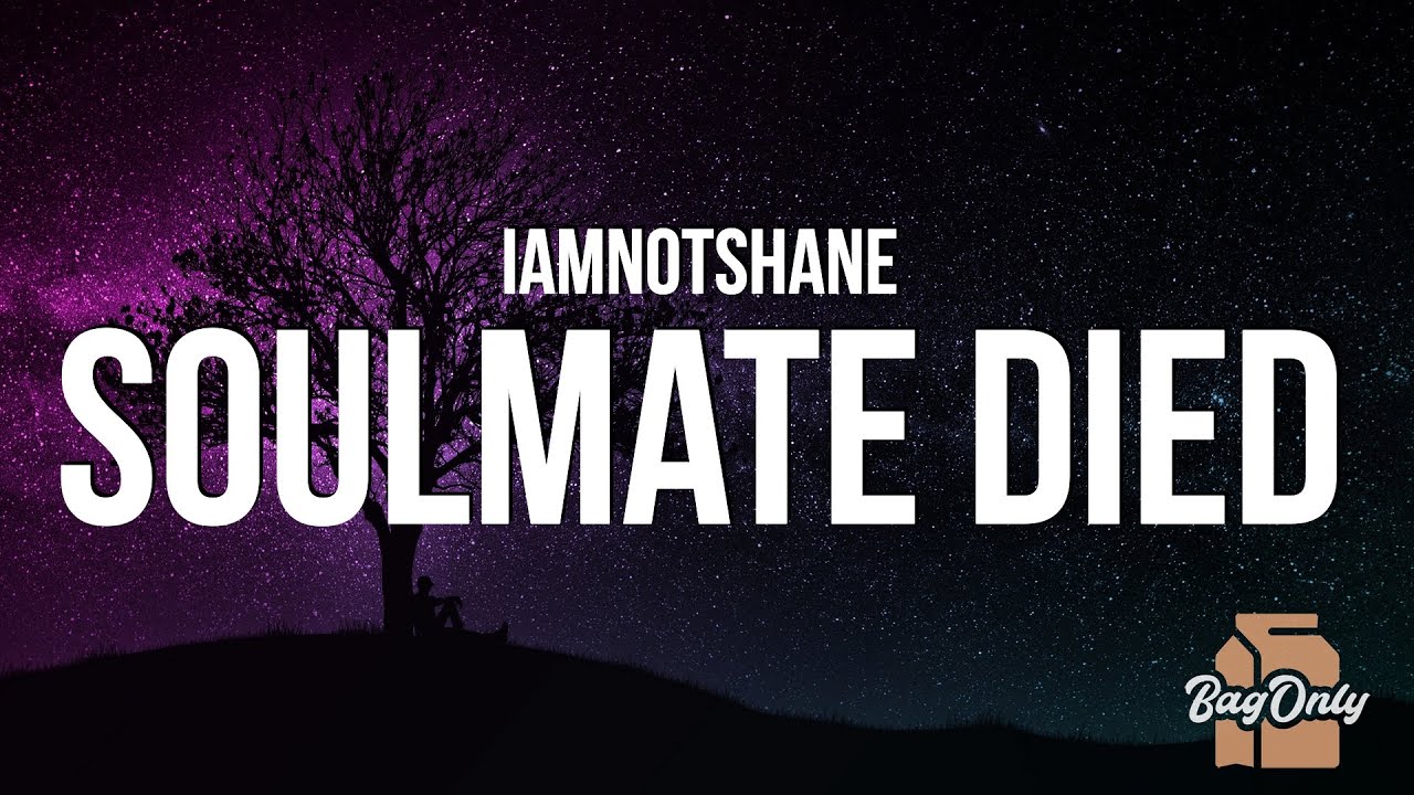 iamnotshane - Maybe My Soulmate Died (Lyrics) - YouTube