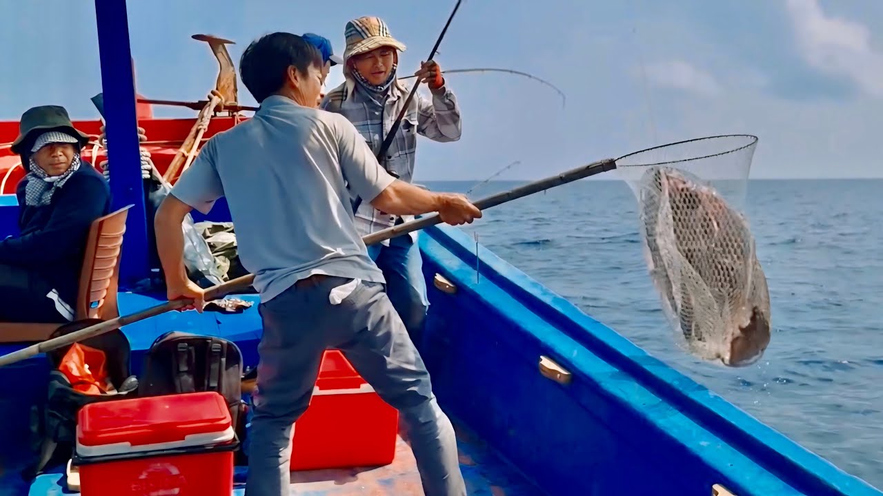 Fishing Videos | Relaxing Ocean Fishing - Daily Life At Sea, Natural ...