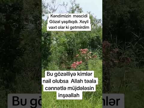 Məscidlərə gedək