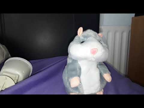 Talking Becca sparkles plush - YouTube