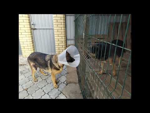 Многие люди ничего не знают о мини-приютах...