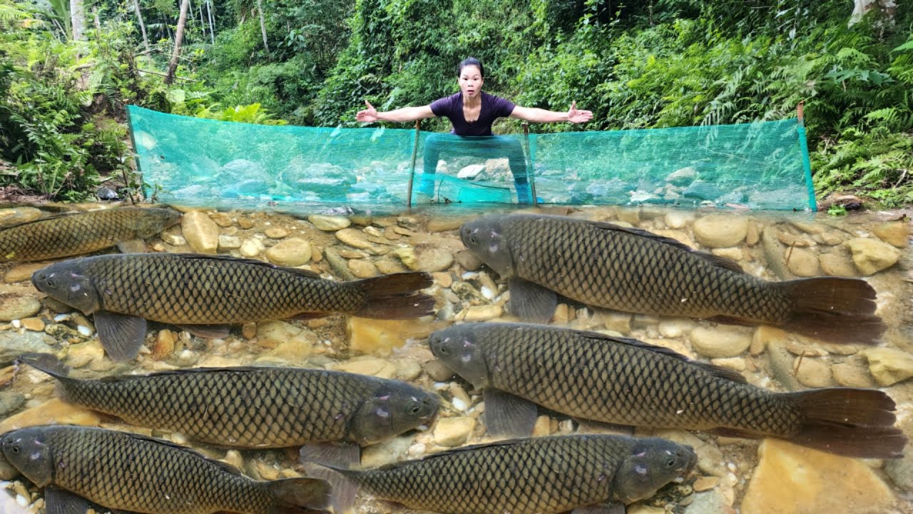 Discovering big fish in the stream, the girl immediately spread a net ...