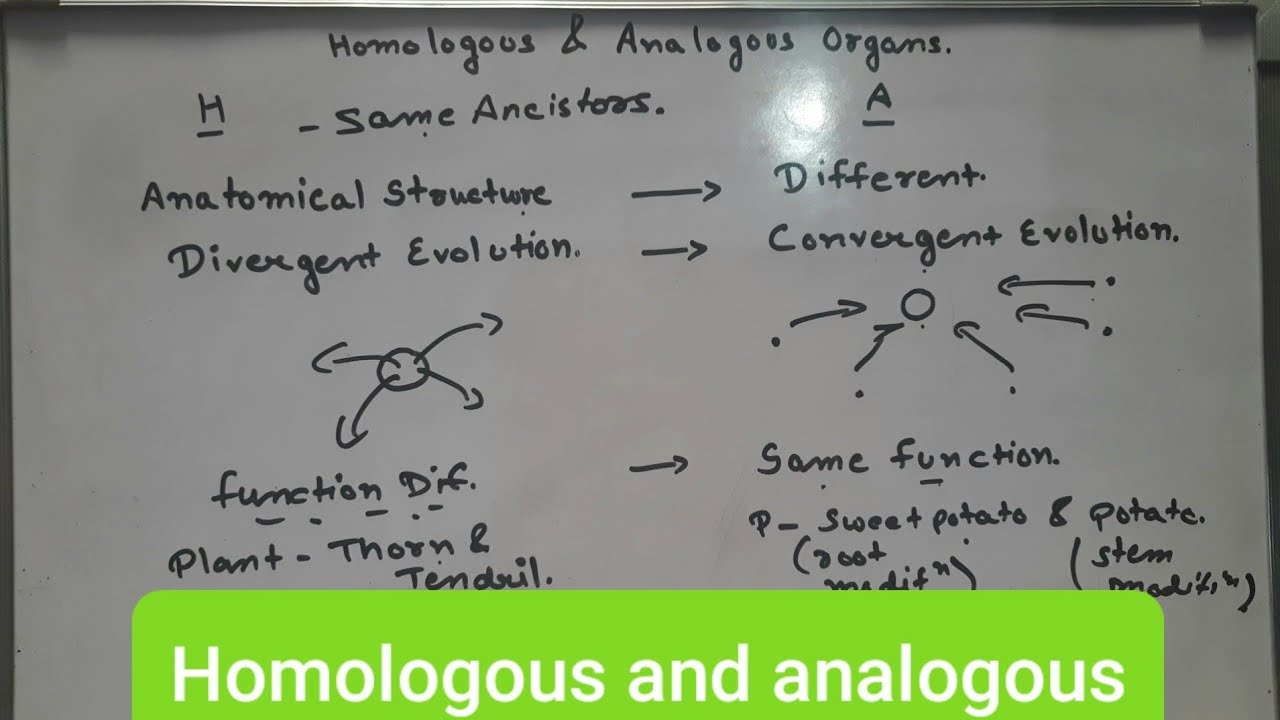 Homologous and Analogous organs with Evolutionary Relationship|| class ...